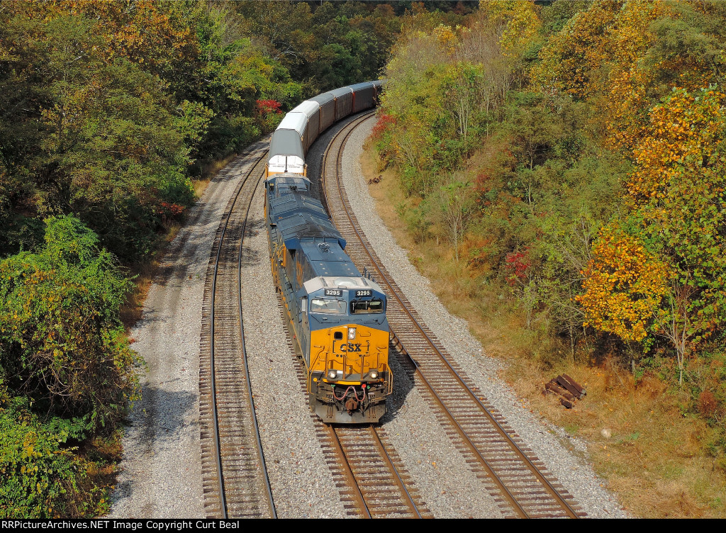 CSX 3295 and 3313
